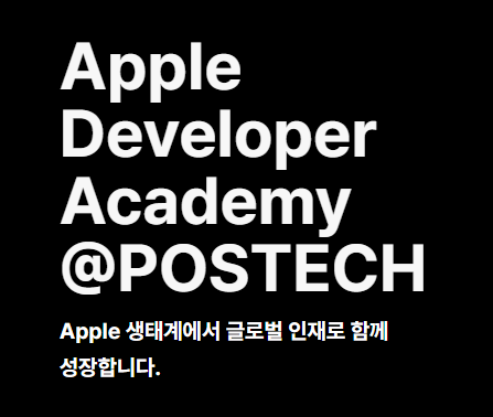 애플 디벨로퍼 아카데미 4기 최종 합격 후기와 약간의 지원 팁