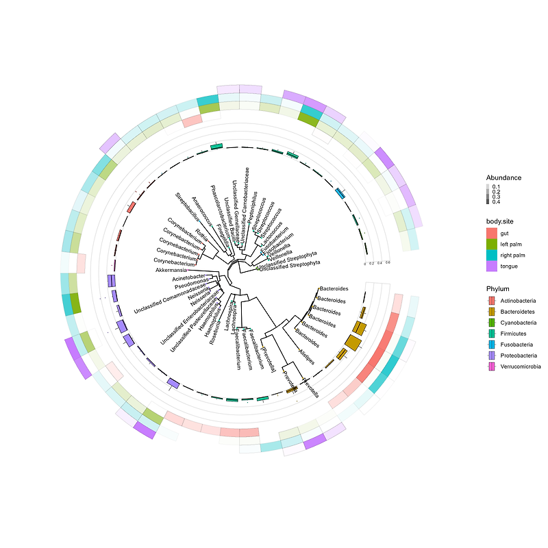 Rggtree Ggtree패키지를 이용해 Phyloseq데이터의 계통수 그려보기 — Bioinfonewbie