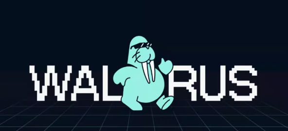 월러스 코인(Walrus Coin) 투자 설명 및 방법