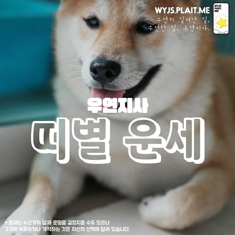 2024년 10월 28일 ~ 2024년 11월 3일 주간운세 🐹🐮🐯🐰🐲🐍🦄🐑🐵🐔🐶🐷