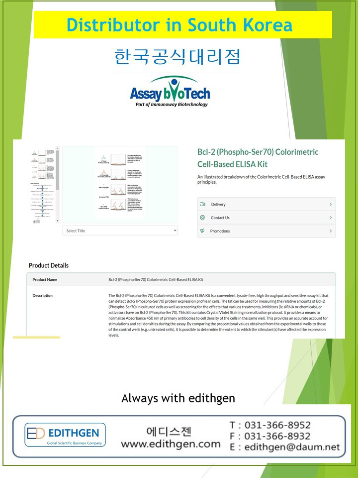 (AssayBiotech 한국공식대리점_ 에디스젠_edithgen@daum.net) Bcl-2 (Phospho-Ser70) Colorimetric Cell-Based ...