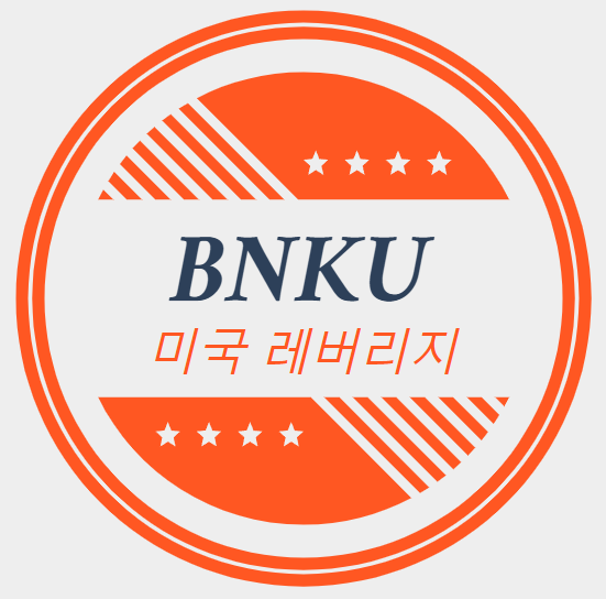 BNKU - 미국 은행 3배 레버리지