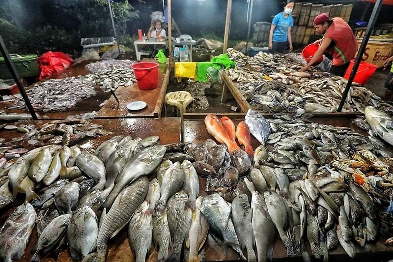 필리핀세부에 모든 고기들이 있는곳, 세부자영업의 심장! 파실 어시장. Pasil Fish Market