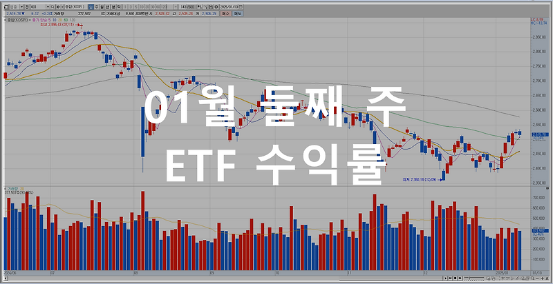25년 01월 둘째 주 ETF 주간 수익률 TOP5 :: 돈되는 경제이야기