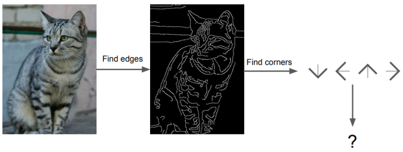 cs231n - lecture02(이미지 분류, KNN, Linear Classification)