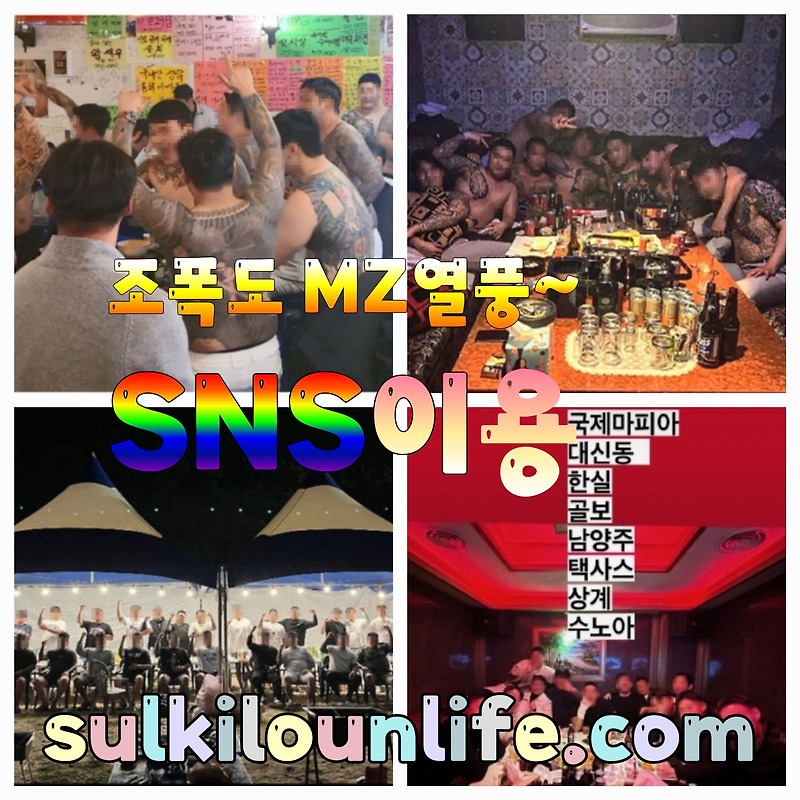 MZ 세대 조폭, SNS를 통한 대담한 활동으로 조직 규모 확장