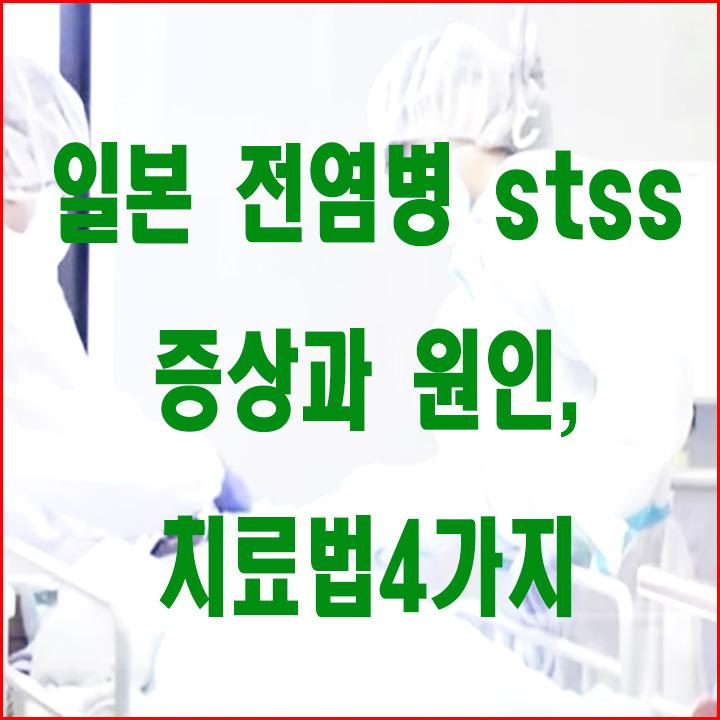일본 전염병 stss증상과 원인,치료법 4가지