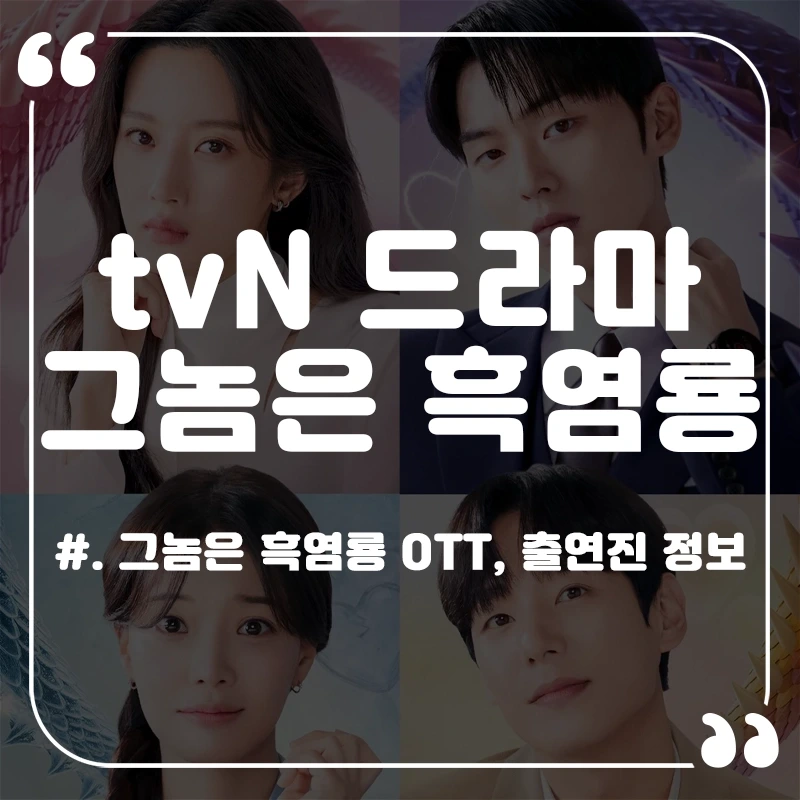 그놈은 흑염룡 OTT, 출연진, 등장인물, tvN 드라마 정보