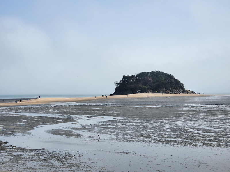 [홍태승]220424_2 핑계2(핑계를 대는 것)