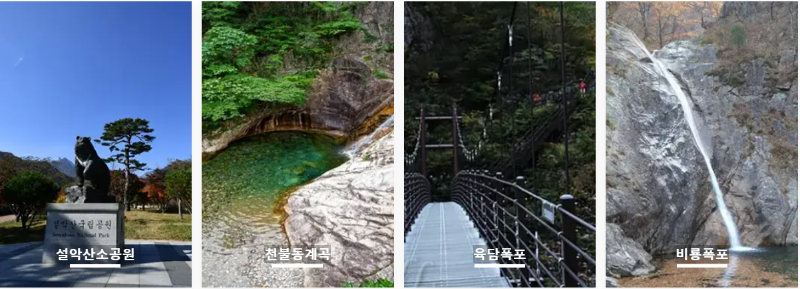 🏞️ 국내 여행지 탑 5와 추천 경로 🚗 — 이모저모의 탐방