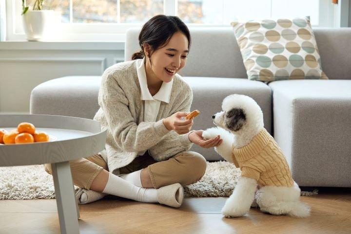 반려동물을 위한 정책 모음 ZIP