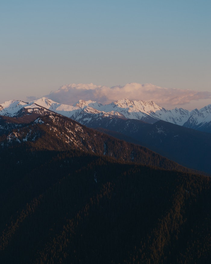 [PHP] 문자열 함수 (1) - trim(), strtoupper(), strtolower() — youngdev