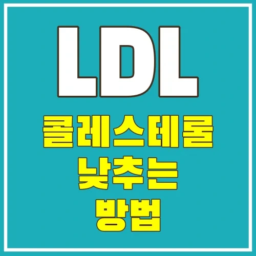 LDL 콜레스테롤 낮추는 방법과 추천 음식