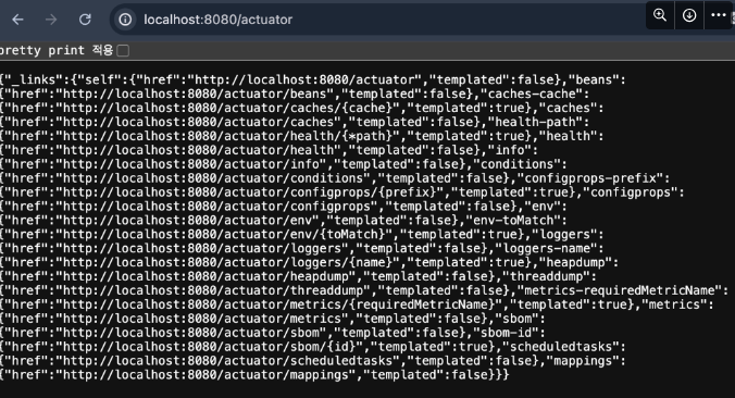Actuator, Prometheus, Grafana 설정 및 실습