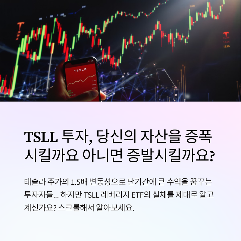 테슬라 레버리지의 유혹, TSLL로 잃어버린 내 계좌의 진실