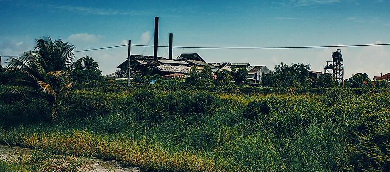 스켈든 에스테이트(Skeldon Estate) & 데메라라 럼의 계보