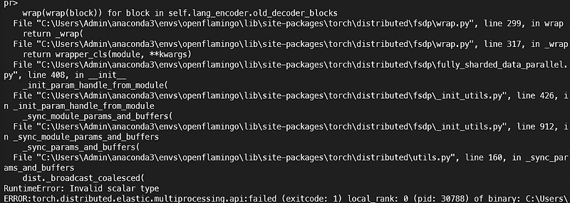 RuntimeError: Invalid scalar type ERROR:torch.distributed.elastic.multiprocessing.api:failed ...