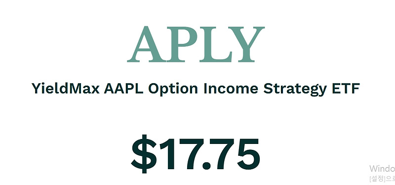 [ APLY ] 애플에 투자하면서 배당금 20% 이상 받을 수 있는 ETF