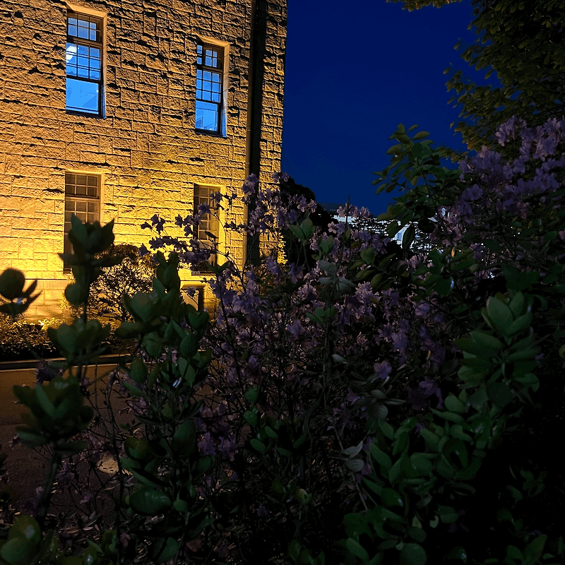 17478: 재귀함수가 뭔가요? :: 실천가 꼬리