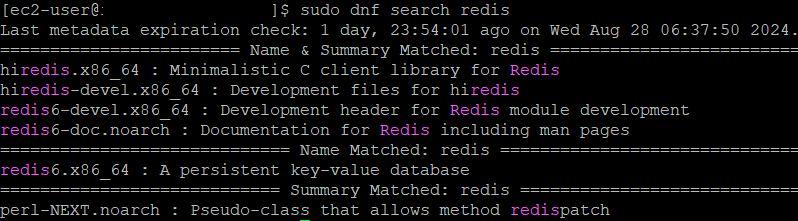 AWS Linux EC2 Redis 설치하기