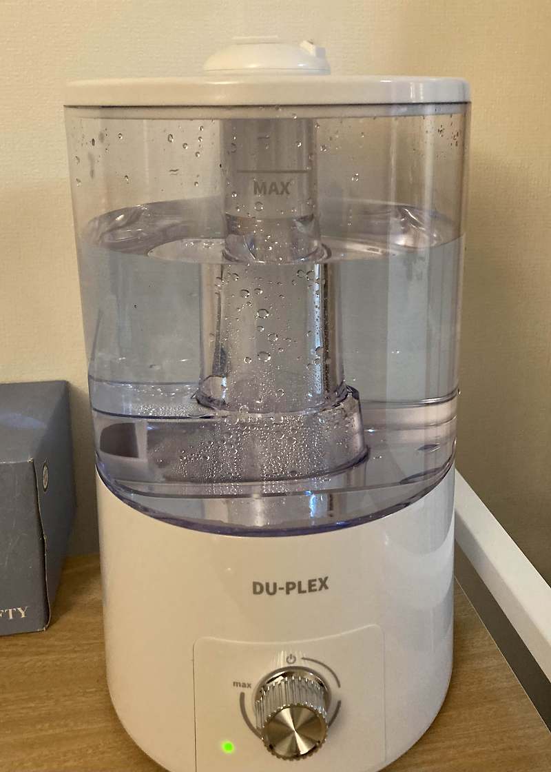 듀플렉스 DP-6090UH 가습기 리뷰