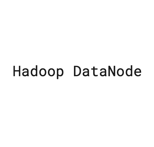 Hadoop DataNode 알아보기 :: 코딩수집
