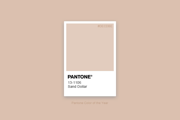 Sand Dollar (13-1106) : 2006년 '팬톤(Pantone) 올해의 컬러'