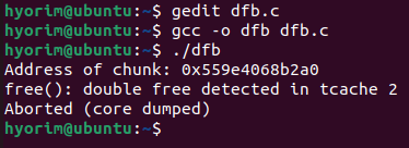 [SWING] Pwnable 05 - Double Free Bug