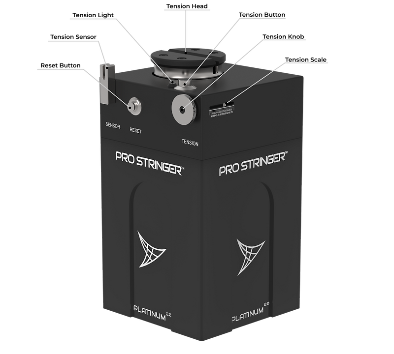 자가스트링 : PRO STRINGER