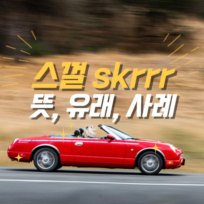 스껄 skrrrr / 스껄하네 : 의미, 뜻, 유래, 사용 사례 :: 알면서도 모르는 말!!