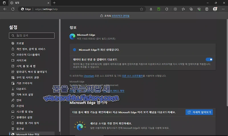 마이크로소프트 엣지 116(Microsoft Edge 116) 보안 업데이트