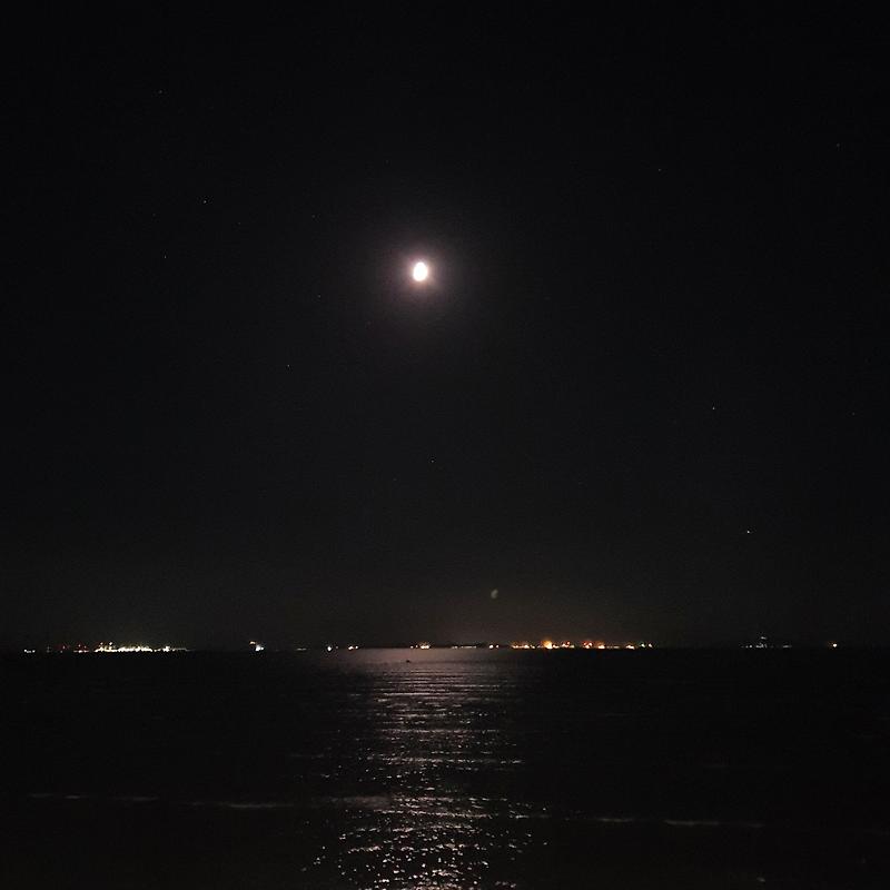 공공데이터 API JSP에 적용하기 (2) — ys2 notepad