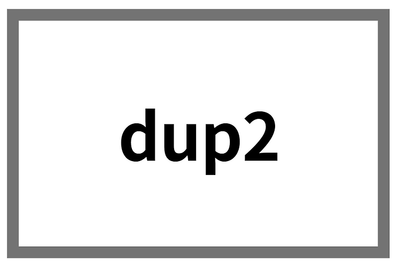 [function] dup2 함수 알아보기