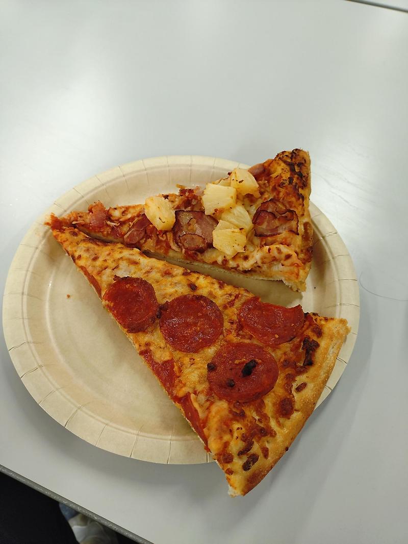 JAIST 생존일지 D+313~314(8/4~5) - 학기 끝!