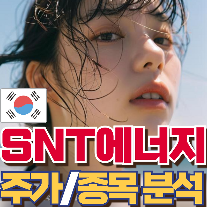 SNT에너지 : SMR 원전 필수 기자재 관련주 TOP