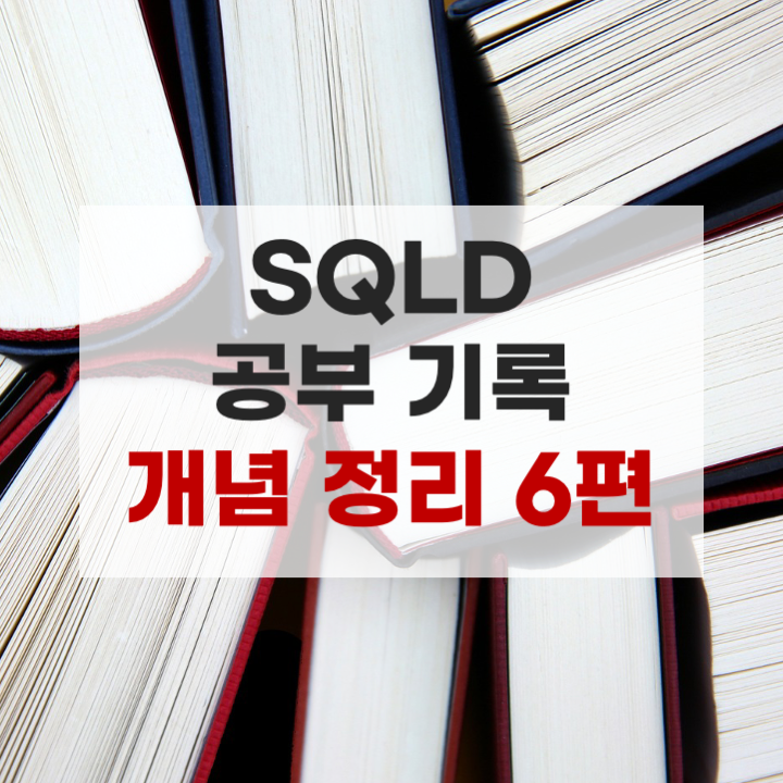 2024 SQLD 시험 준비 - 개념 정리 6편