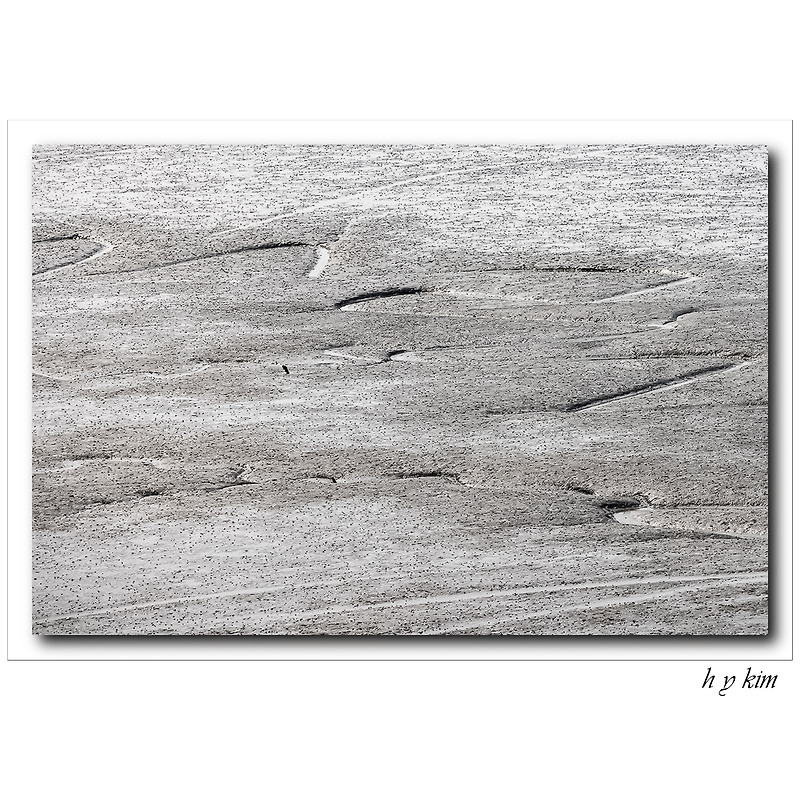 # 427 :: 미루나무 창가에서