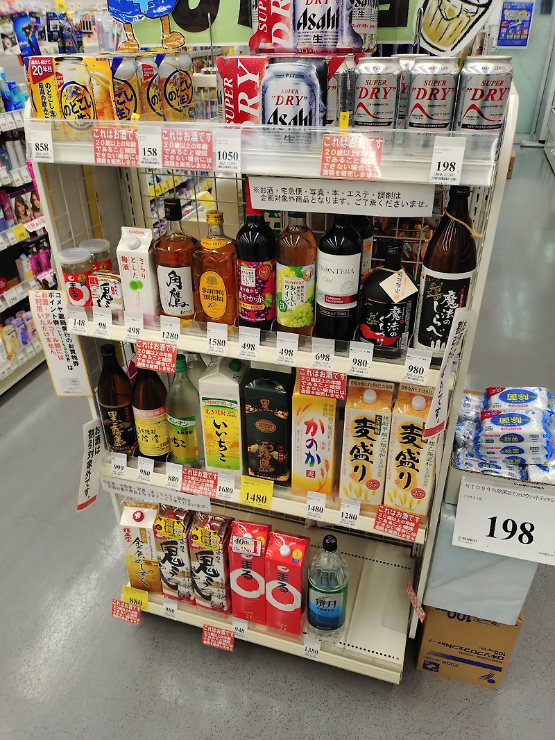 JAIST 생존일지 D+559~562(4/7~4/10) - 감기