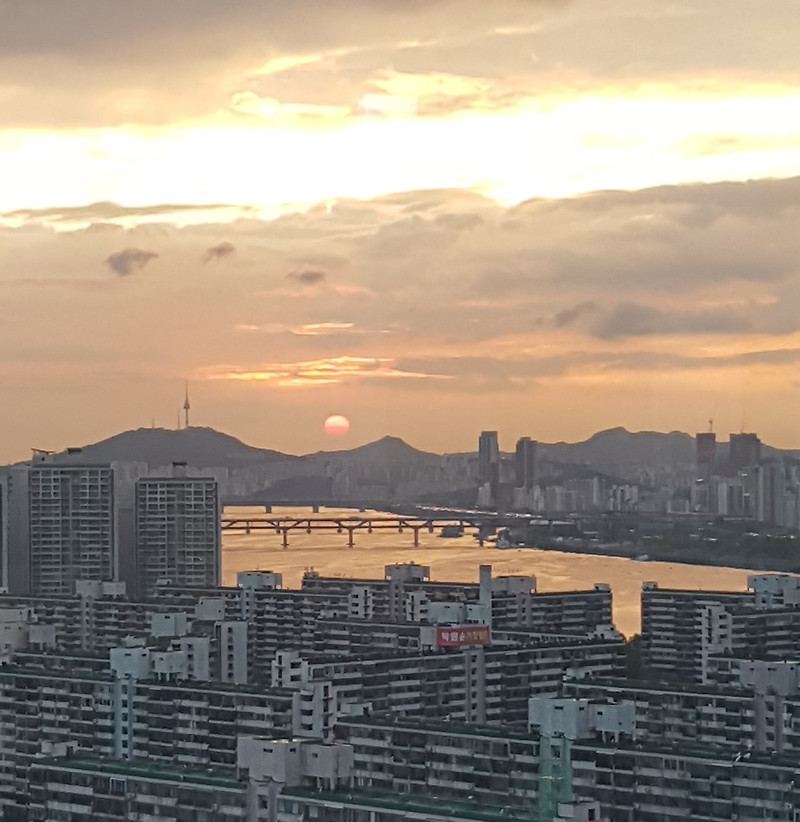 내 나이 오십