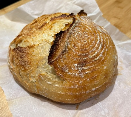 미국살면서 느는건 사워도우만드는 기술뿐