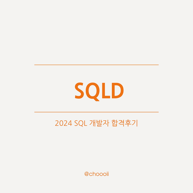 2024 SQLD 합격 후기 (+ 일주일, 개정전 노랭이) — 초이