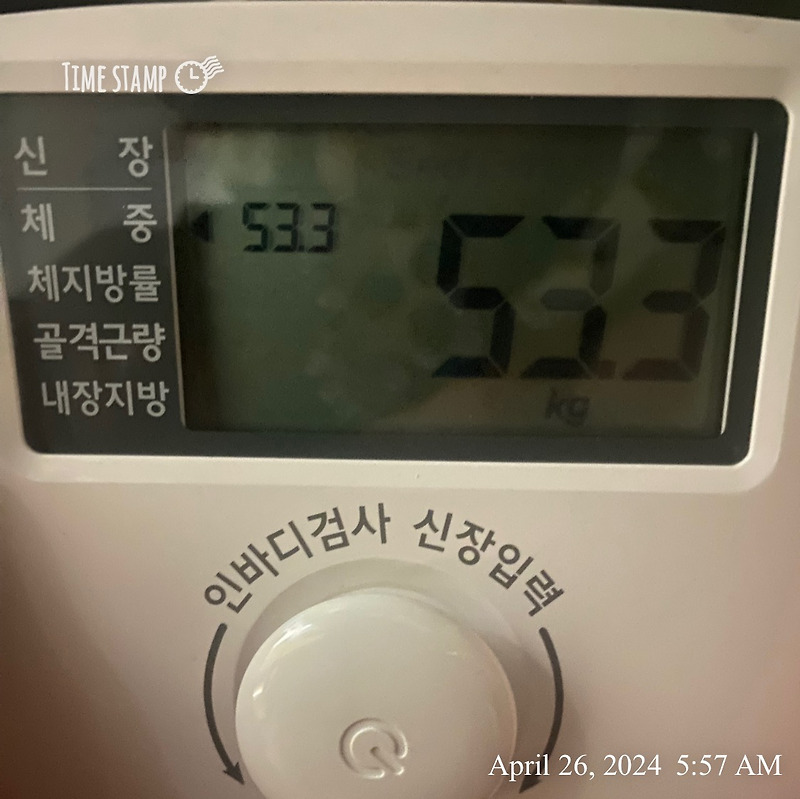 4월26일 D 58 53.3kg 0.0kg (헤이씨리 다이어트 D2) :: 소소한일상
