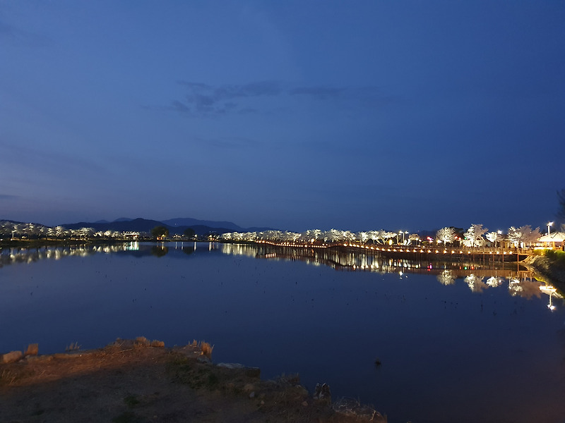 아침루틴 :: 재테크 스터디