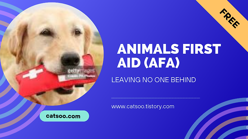 Animals First Aid (AFA) - Caring for All, Leaving No One Behind