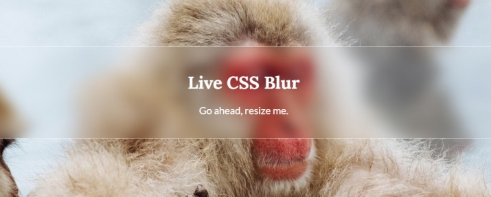 [해피CGI][cgimall] Live CSS Blur