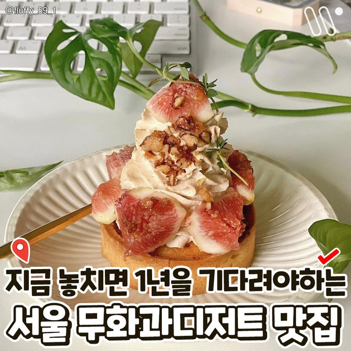 제철에 먹어야 맛있는 서울의 무화과 디저트 추천 찐 맛집 요약 모음