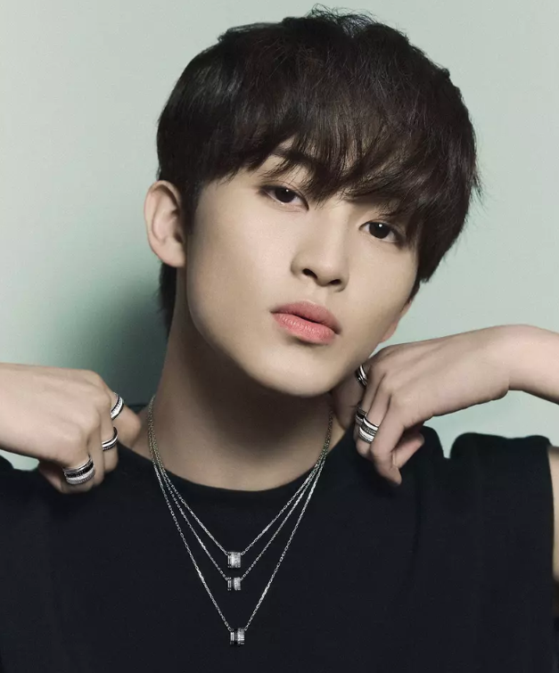 마크(NCT), 프랑스 럭셔리 주얼리 브랜드 부쉐론(Boucheron)의 새로운 '메종의 친구'로 선정