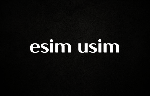 다 모아봄 esim usim 업데이트된 소식입니다