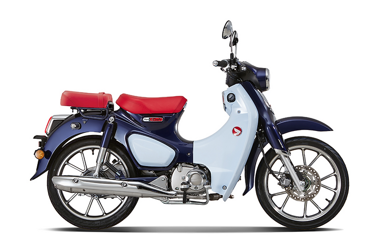 [125cc 이하 입문용 오토바이 추천] 혼다 커브 c125