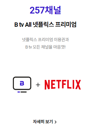 SK Btv 채널 번호 정리 (sk 비티비 가입 상품별 채널)